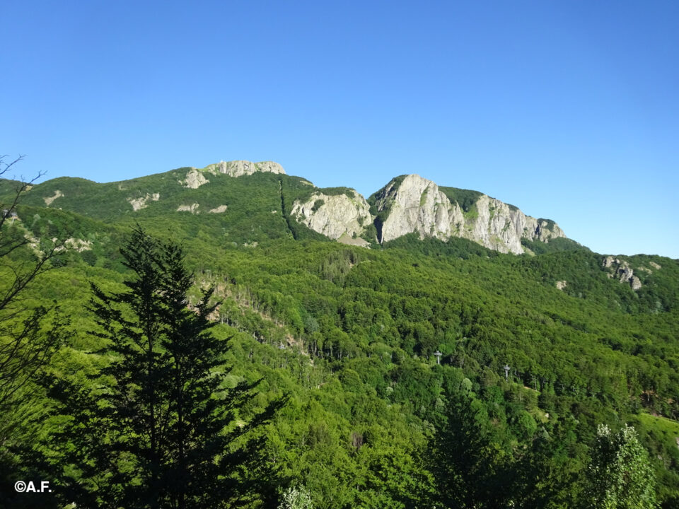 Groppo Rosso e Monte Roncalla da Rocca d'Aveto | l'Appenninista